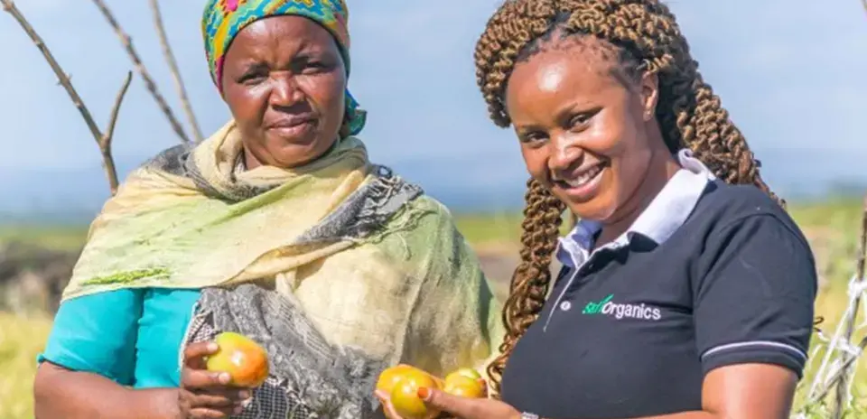 Democratizing Fertilizer Production For Higher Yields In Kenya | AFR100